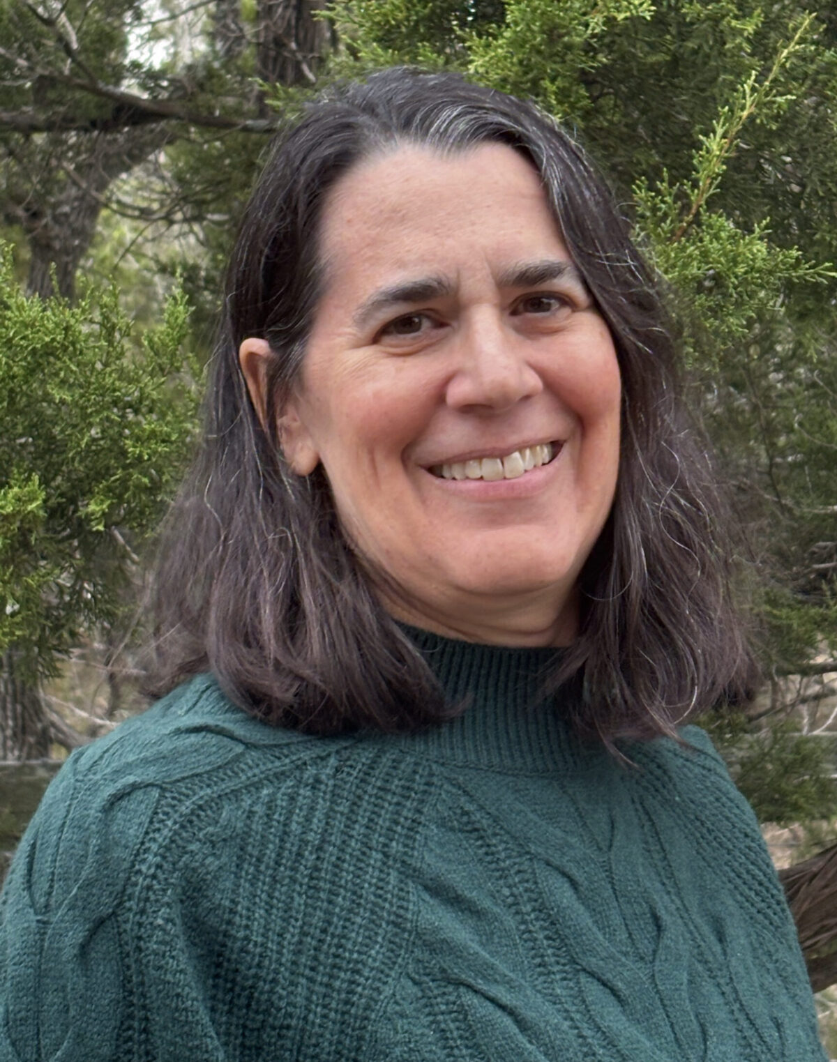 Andrea Greebon, MS, LPC - Three Oaks Counseling & Psychiatry